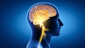 Department of Neuro Surgery – Epic Multispecialty Hospital